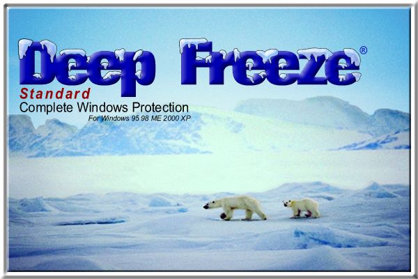 Deep Freeze Standart indir